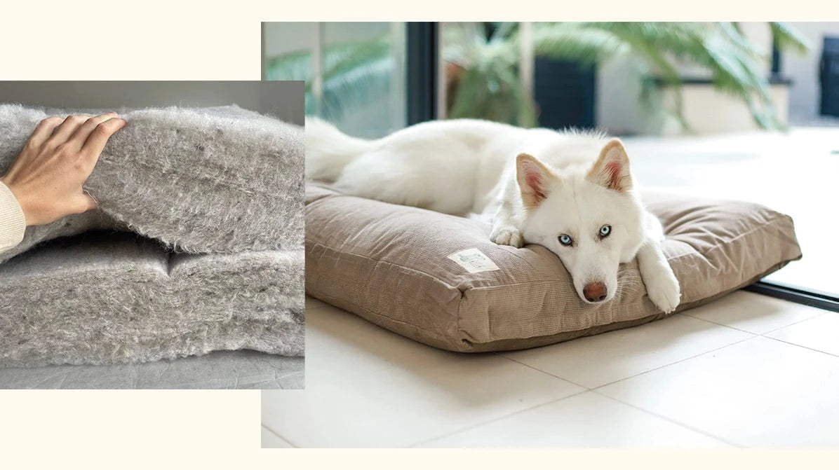 Dog Bed - Size chart | dog beds NZ